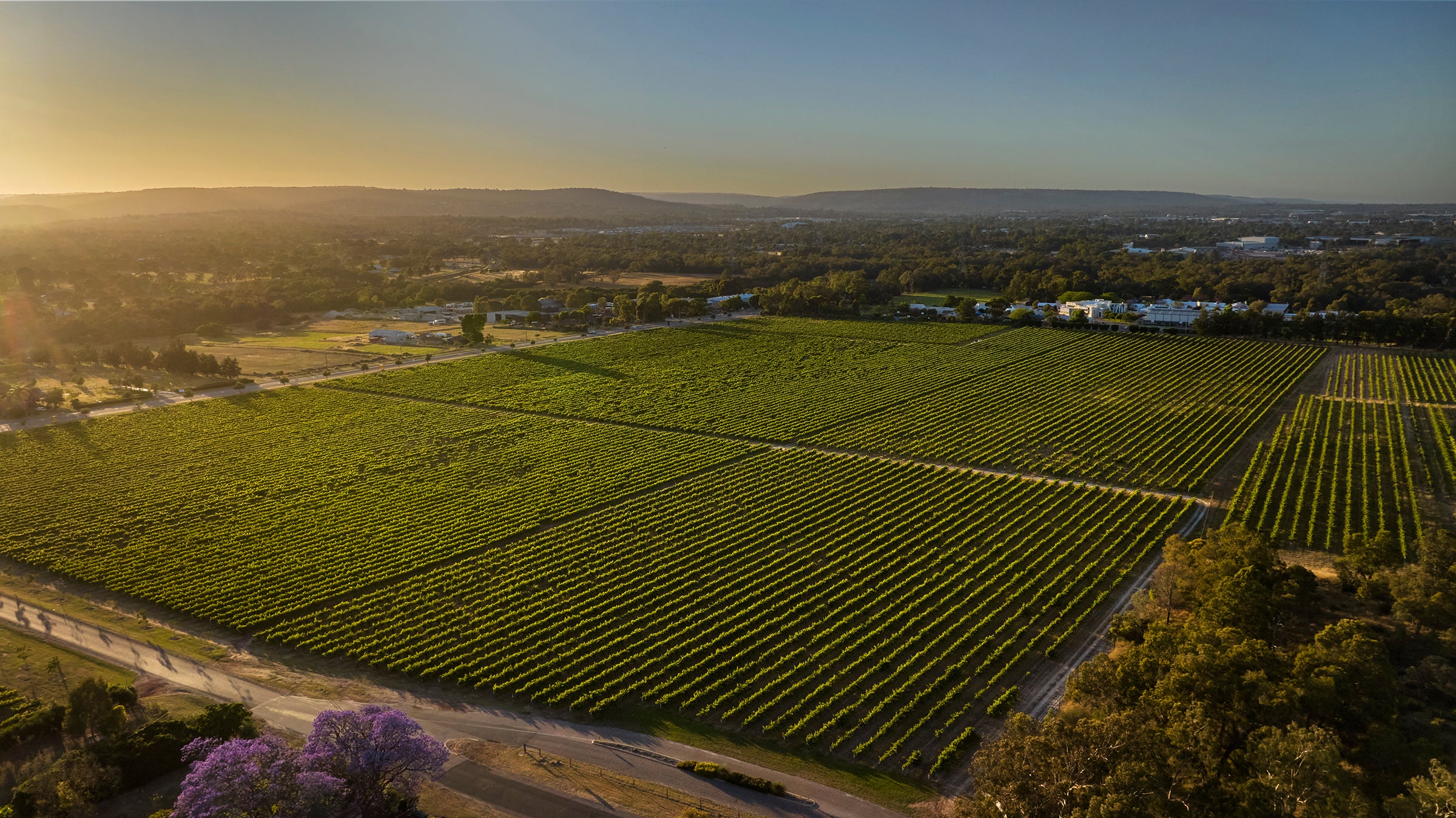 Vintage Wrap – Nikola Estate Winery