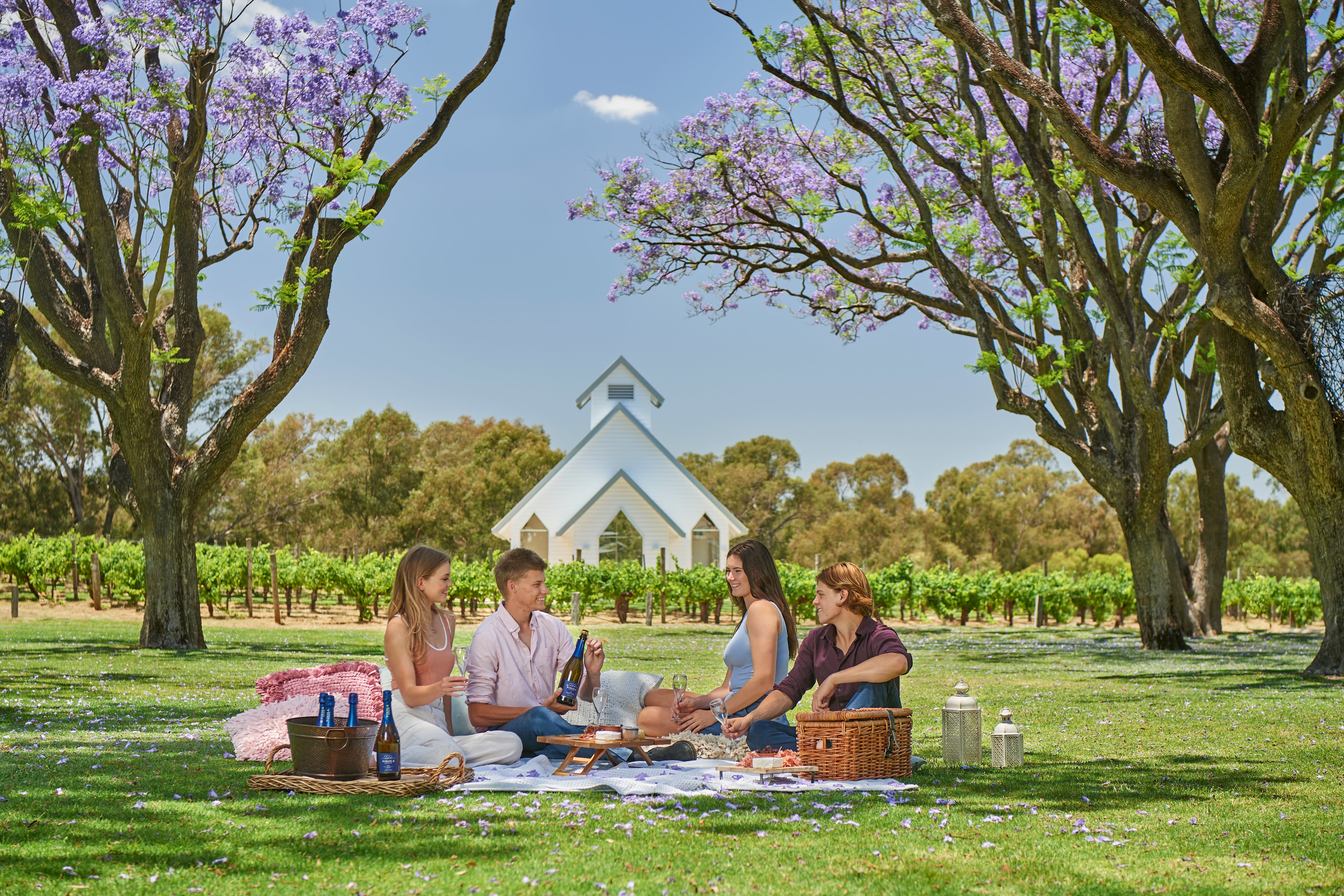 Nikola Regional Range – Nikola Estate Winery