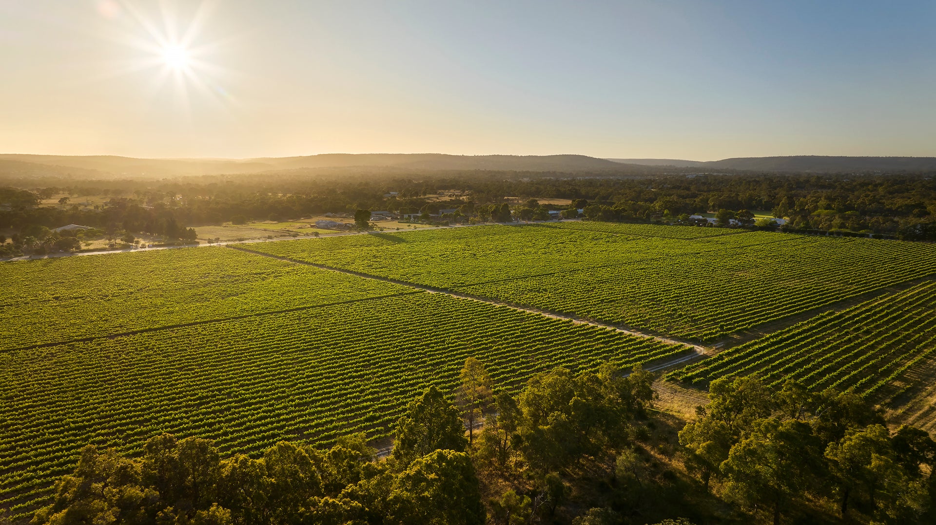 Wines – Nikola Estate Winery